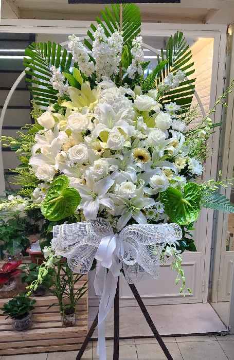 DB22 :: www.flowerhin.com